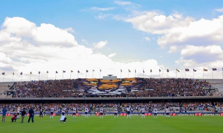 Estadio Olímpico Universitario-CDMX-Equipo-Pumas UNAM